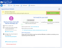 MyChart Video Visit How-To - Saint Francis Healthcare System