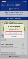 MyChart Video Visit How-To - Saint Francis Healthcare System