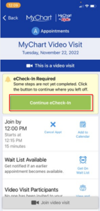 MyChart Video Visit How-To - Saint Francis Healthcare System