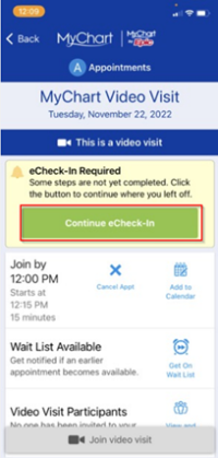 MyChart Video Visit How-To - Saint Francis Healthcare System