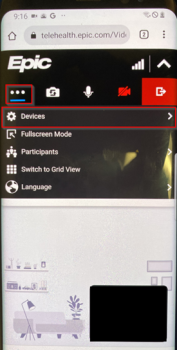 MyChart Video Visit How-To - Saint Francis Healthcare System